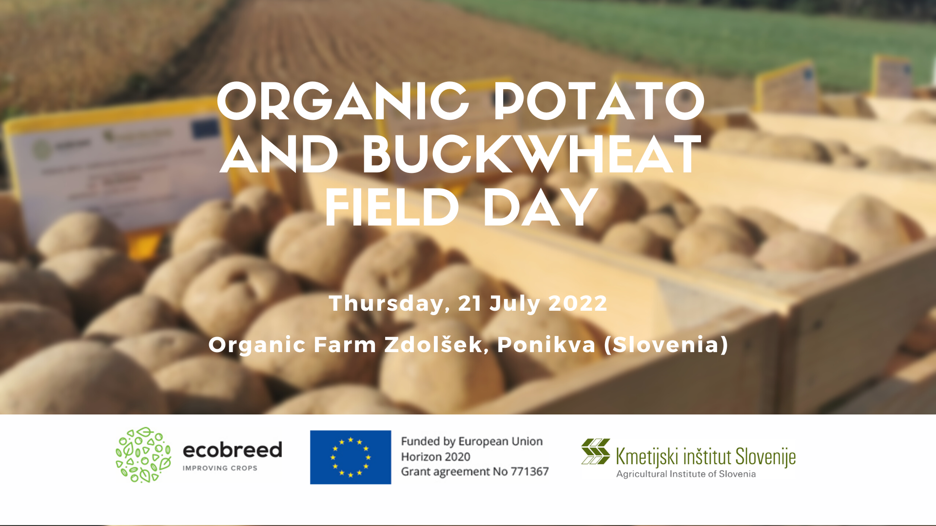 Organic potato and buckwheat production field day, Slovenia – Ecobreed